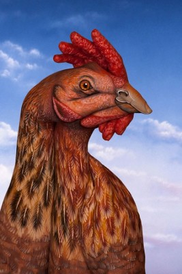 20 Amazing Handimals Hand Art Pictures