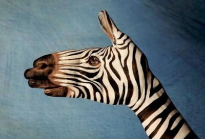 20 Amazing Handimals Hand Art Pictures