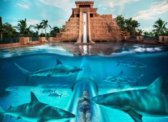 The Mayan Temple water slide bahamas