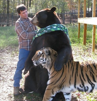 3 Of The Most Dangerous Predators Are Best Friends At Noah's Ark Zoo