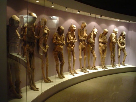 10 Crazy Museums With Bizarre Exhibit Displays