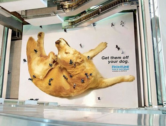 Very Creative Targeted Advertising Campaigns That Grabs Your Attention