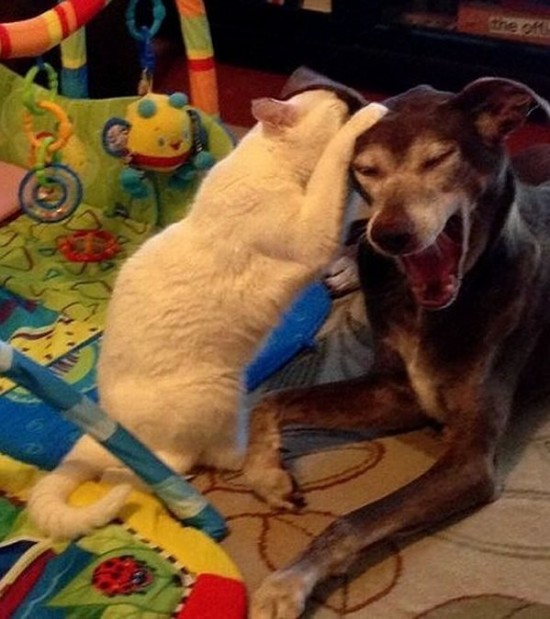 WTF Photo Books Part 2 – Another 51 Crazy Pics