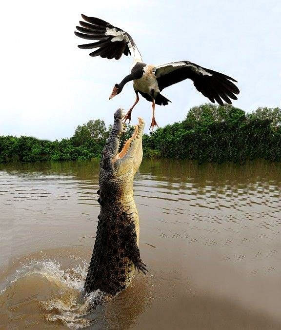 WTF Photo Books Part 2 – Another 51 Crazy Pics