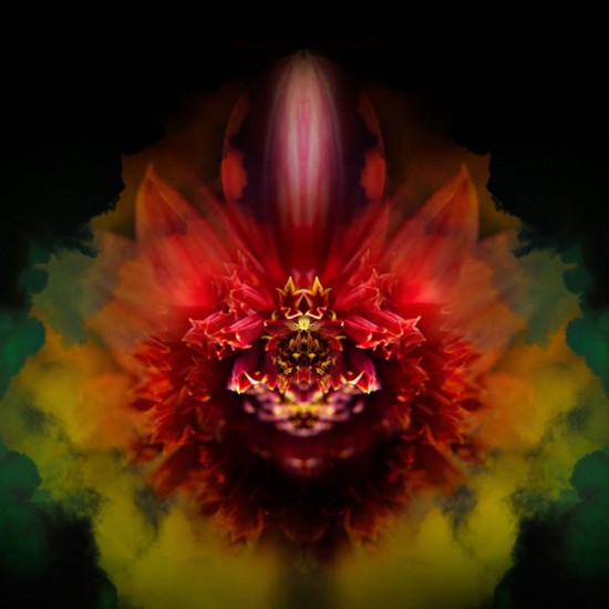 Online Photography - Winners Highlights From 2014 Sony Competition