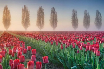 10 Spectacular Places To Visit During Spring Time