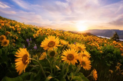 10 Spectacular Places To Visit During Spring Time