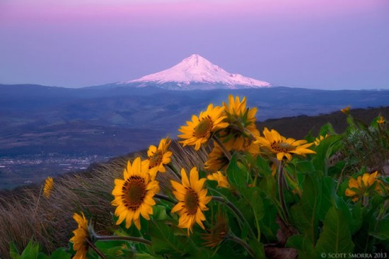 10 Spectacular Places To Visit During Spring Time
