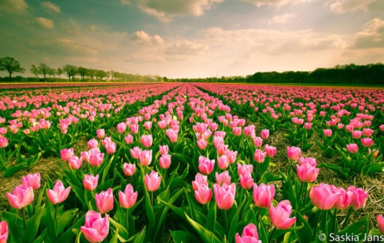 10 Spectacular Places To Visit During Spring Time