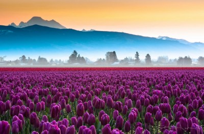 10 Spectacular Places To Visit During Spring Time