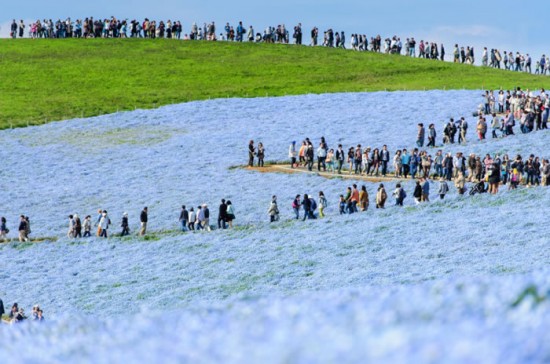 10 Spectacular Places To Visit During Spring Time