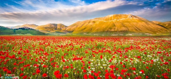 10 Spectacular Places To Visit During Spring Time