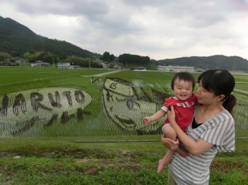 Fields Of Rice Turned Into Amazing Rice Paddy Art In Japan