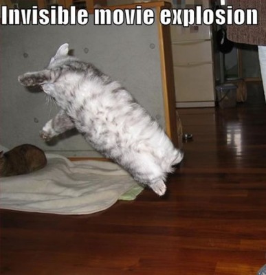 17 Of The Best Invisible Cat Pictures