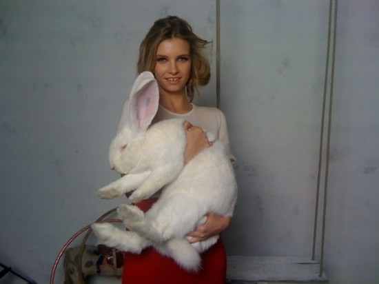 Out Of Control Nature Photos Of 25 Real Life Giant Rabbits