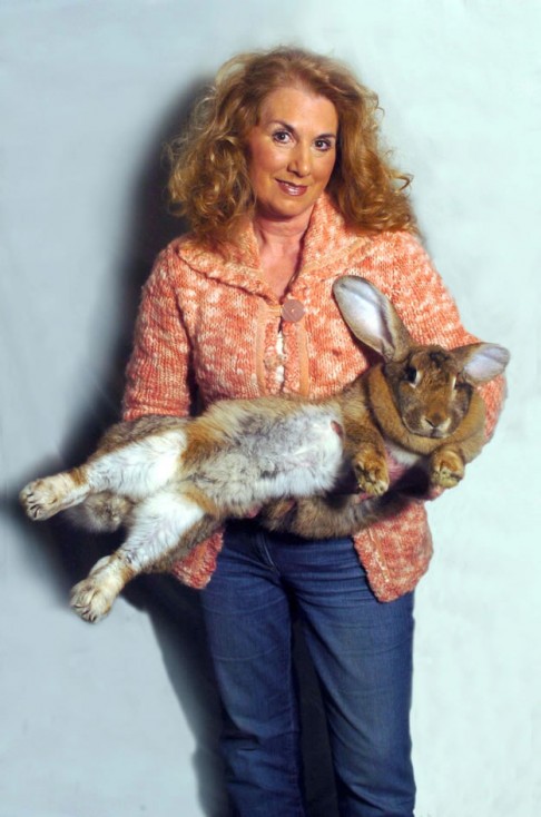 Out Of Control Nature Photos Of 25 Real Life Giant Rabbits