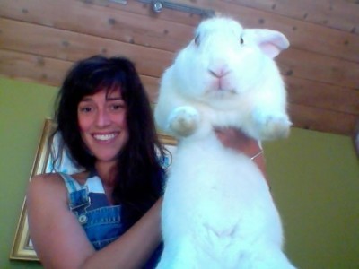 Out Of Control Nature Photos Of 25 Real Life Giant Rabbits