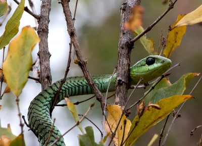25 Amazing Entries For The Nat Geo Photo Contest 2014